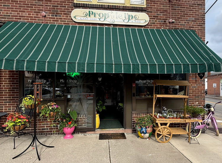 Prop Me Up – Prop Me Up - Plants Delivered To You